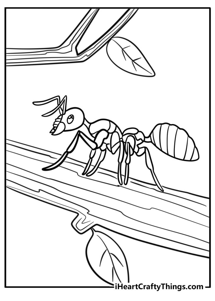 25 Ant Coloring Pages (100% Free To Print)