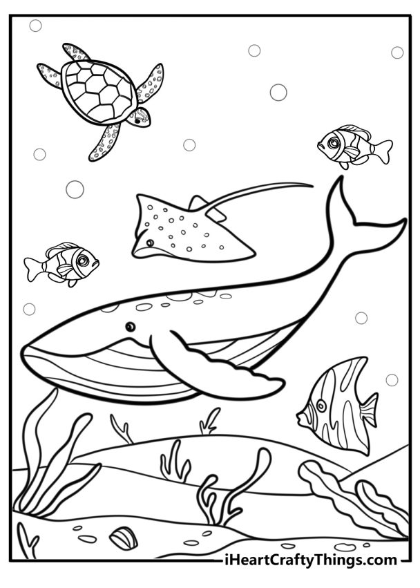 20 Coral Reef Coloring Pages (Free To Print PDF)