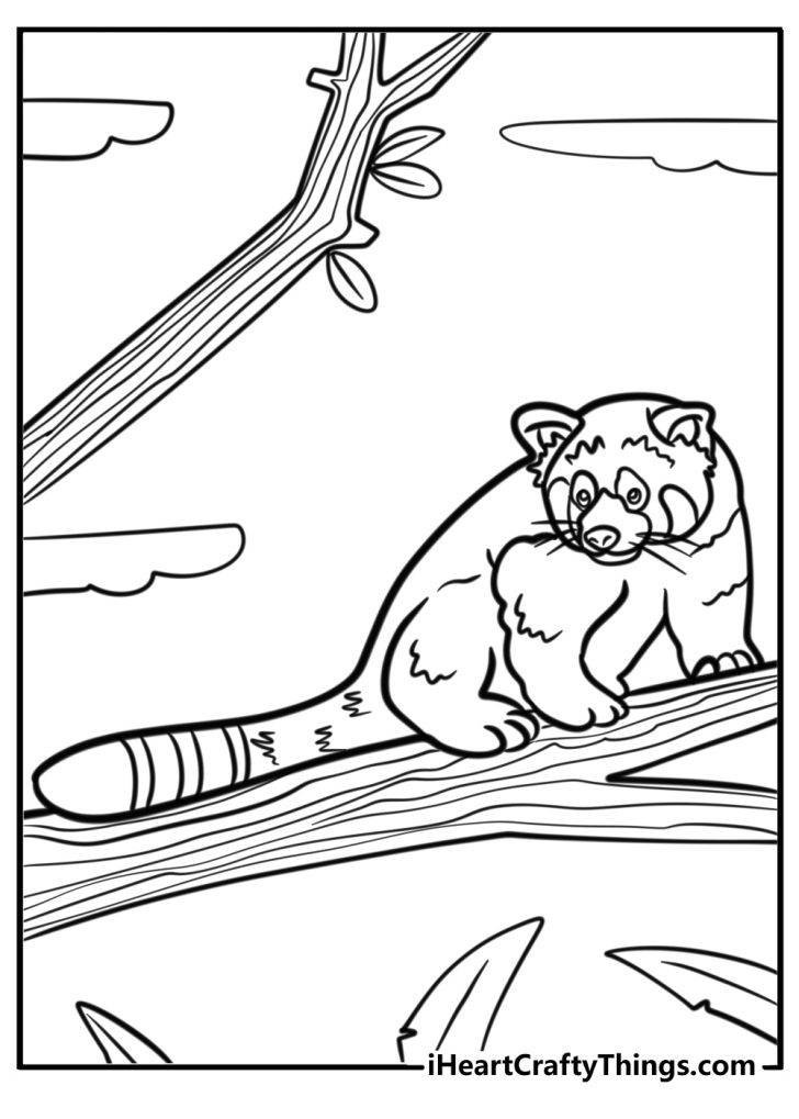 25 Red Panda Coloring Pages (100% Free To Print)