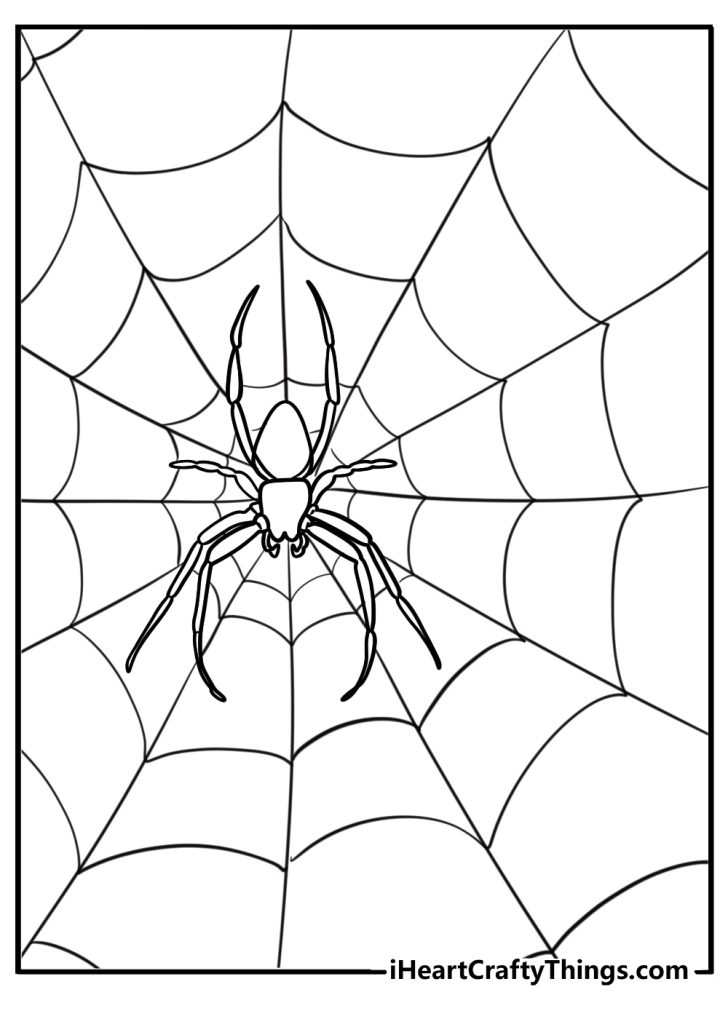 30 Spider Coloring Pages (100% Free PDF Printables)
