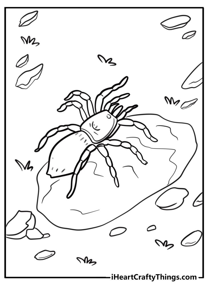 30 Spider Coloring Pages (100% Free PDF Printables)