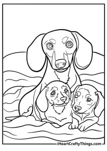 25 Free Dachshund Coloring Pages For Kids