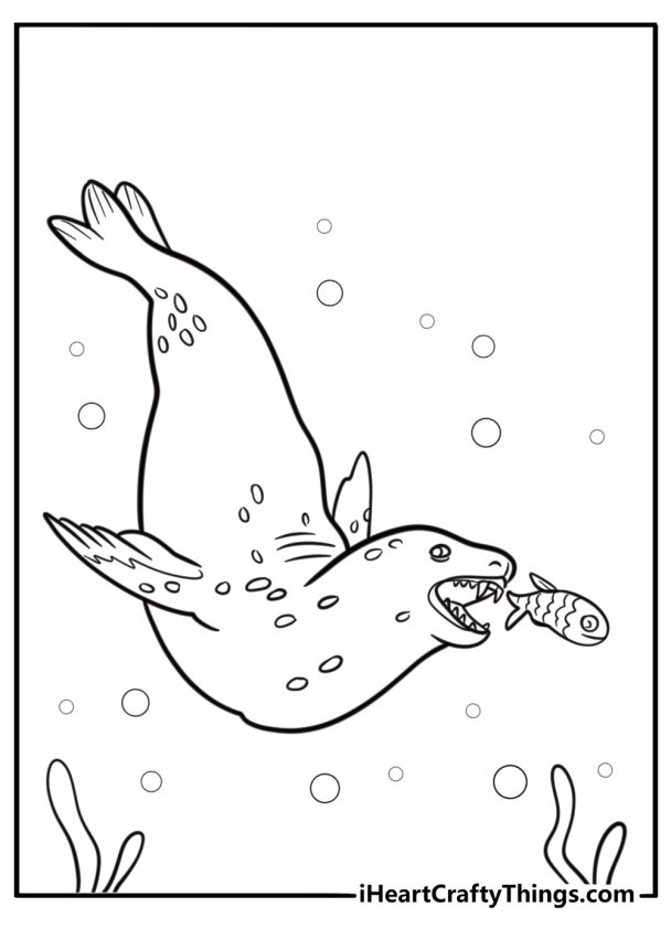 25 Free Arctic Animals Coloring Pages For Kids