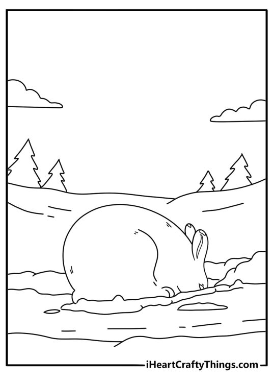 40 Free Arctic Animals Coloring Pages (Printable PDF Sheets)