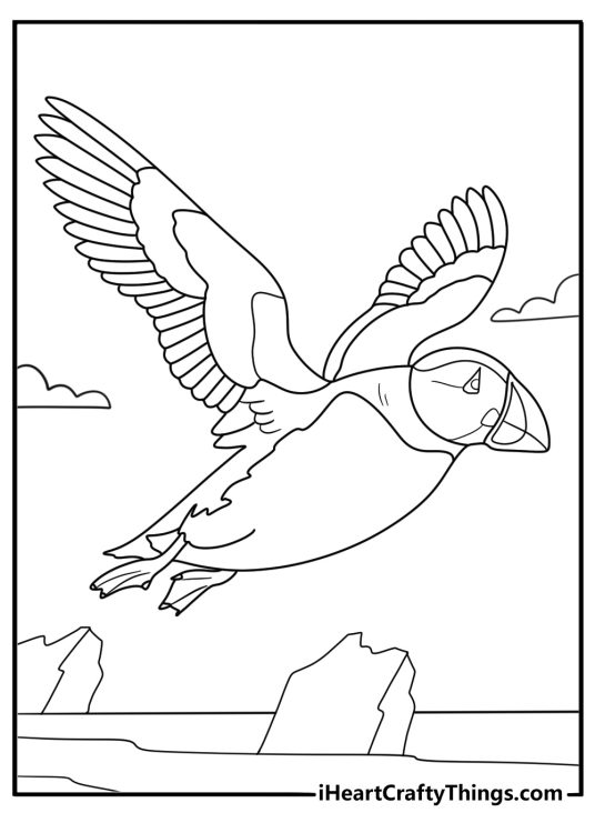 40 Free Arctic Animals Coloring Pages (Printable PDF Sheets)