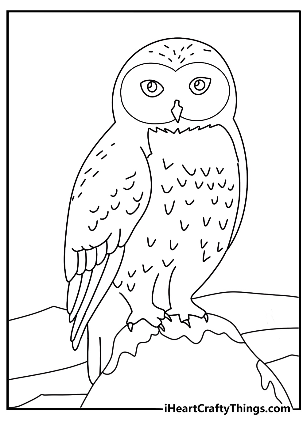 40 Free Arctic Animals Coloring Pages (Printable PDF Sheets)