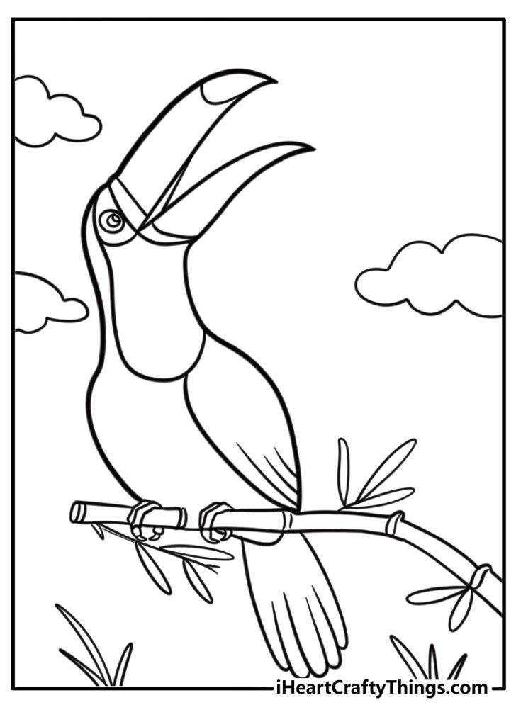 25 Free Toucan Coloring Pages For Kids
