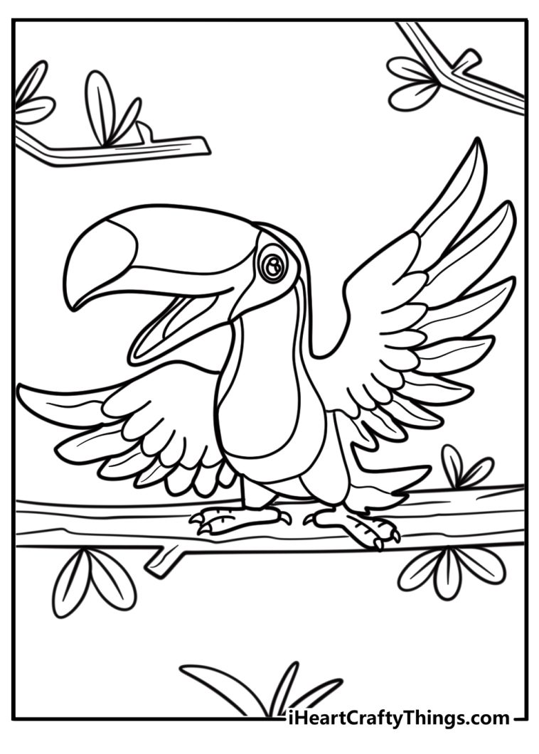 25 Free Toucan Coloring Pages For Kids