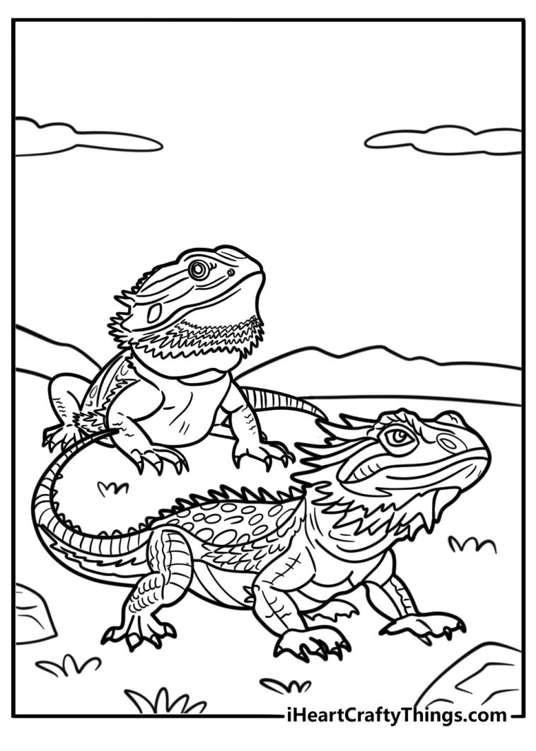 25 Free Bearded Dragon Coloring Pages For Kids