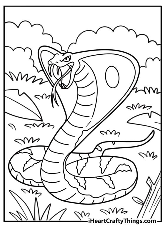 20 Free Cobra Coloring Pages For Kids