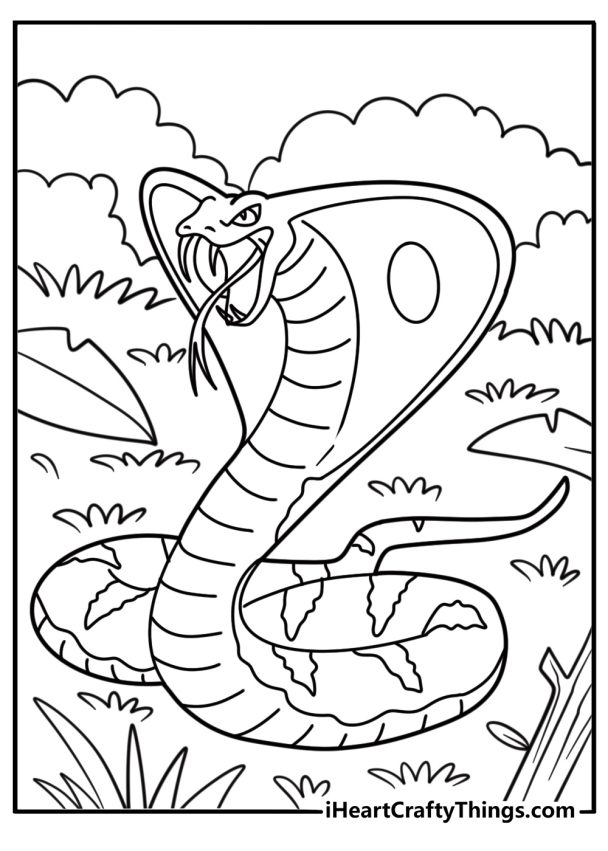 20 Free Cobra Coloring Pages For Kids