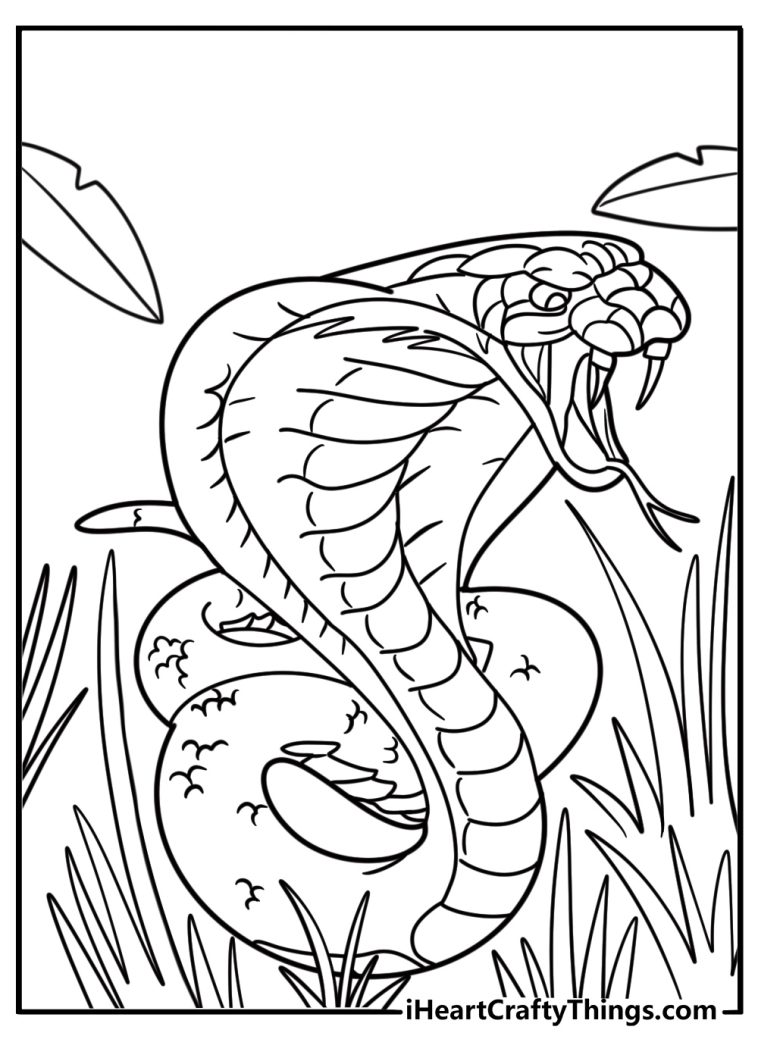 20 Free Cobra Coloring Pages For Kids