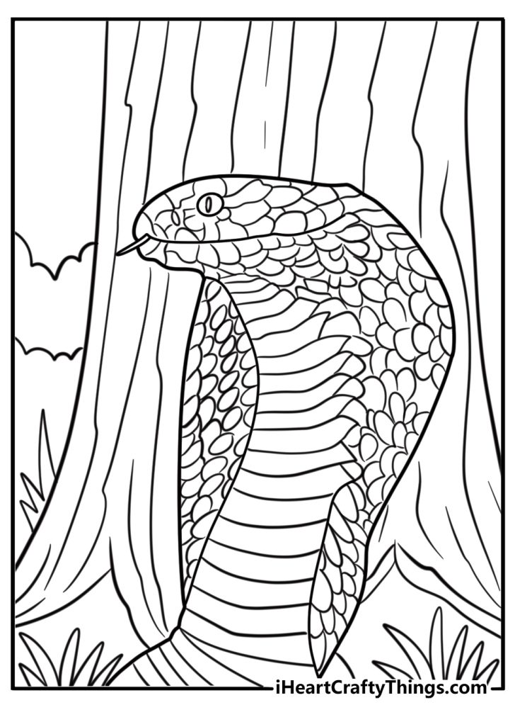 20 Free Cobra Coloring Pages For Kids