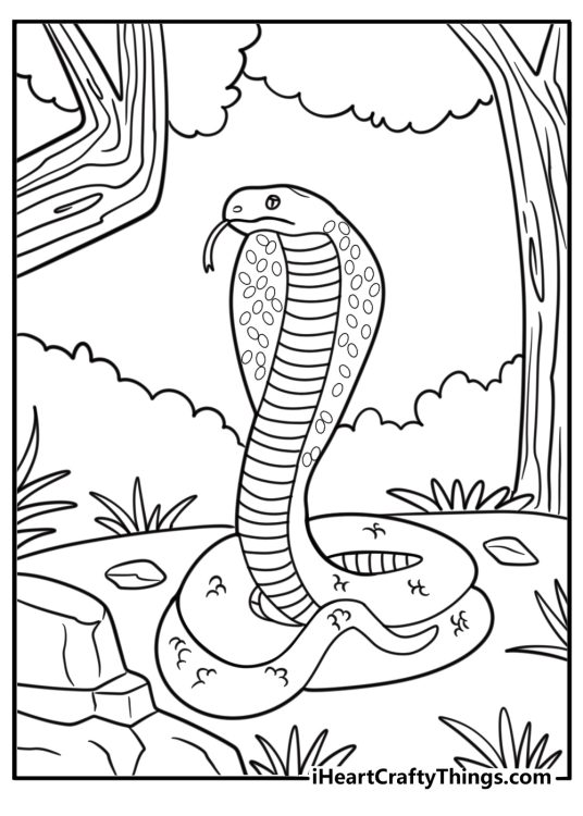 20 Free Cobra Coloring Pages For Kids
