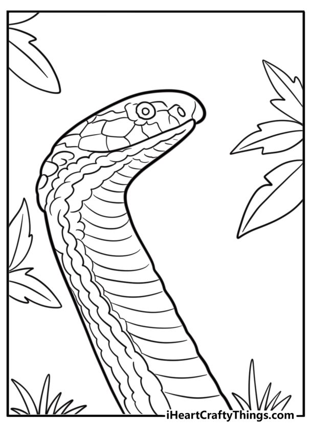 20 Free Cobra Coloring Pages For Kids