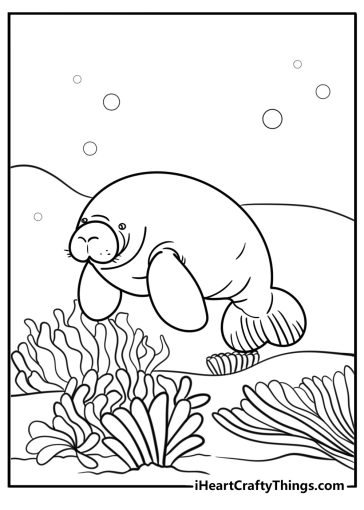 25 Free Manatee Coloring Pages For Kids
