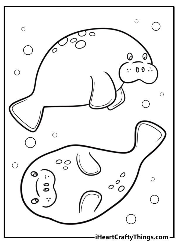 25 Free Manatee Coloring Pages For Kids