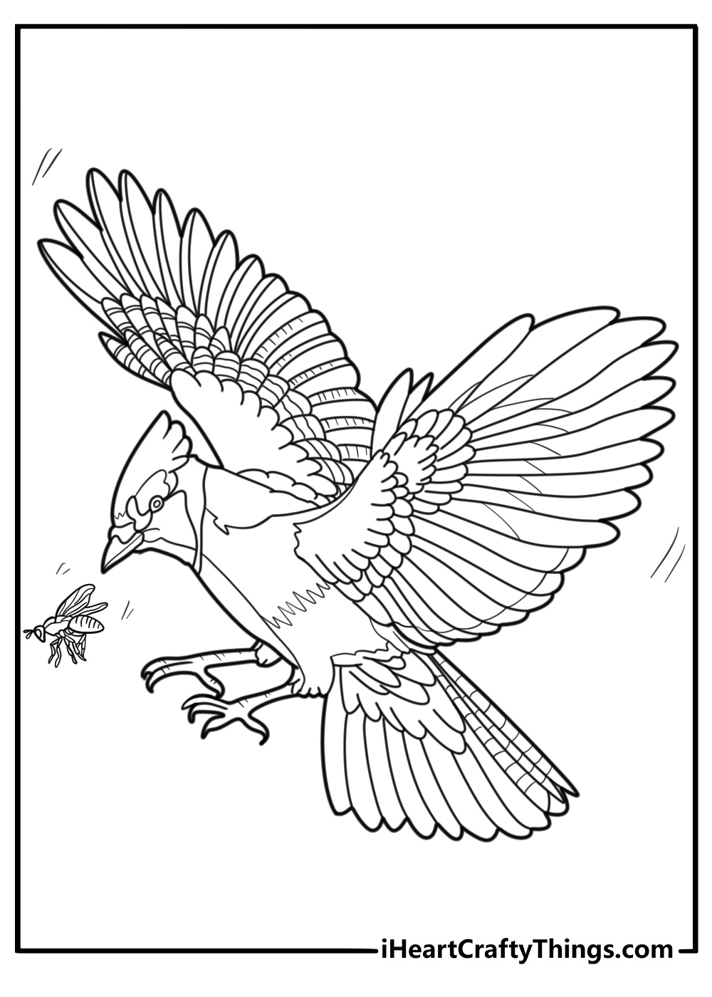 Blue Jay Coloring Pages (20 Free PDF Printables For Kids)