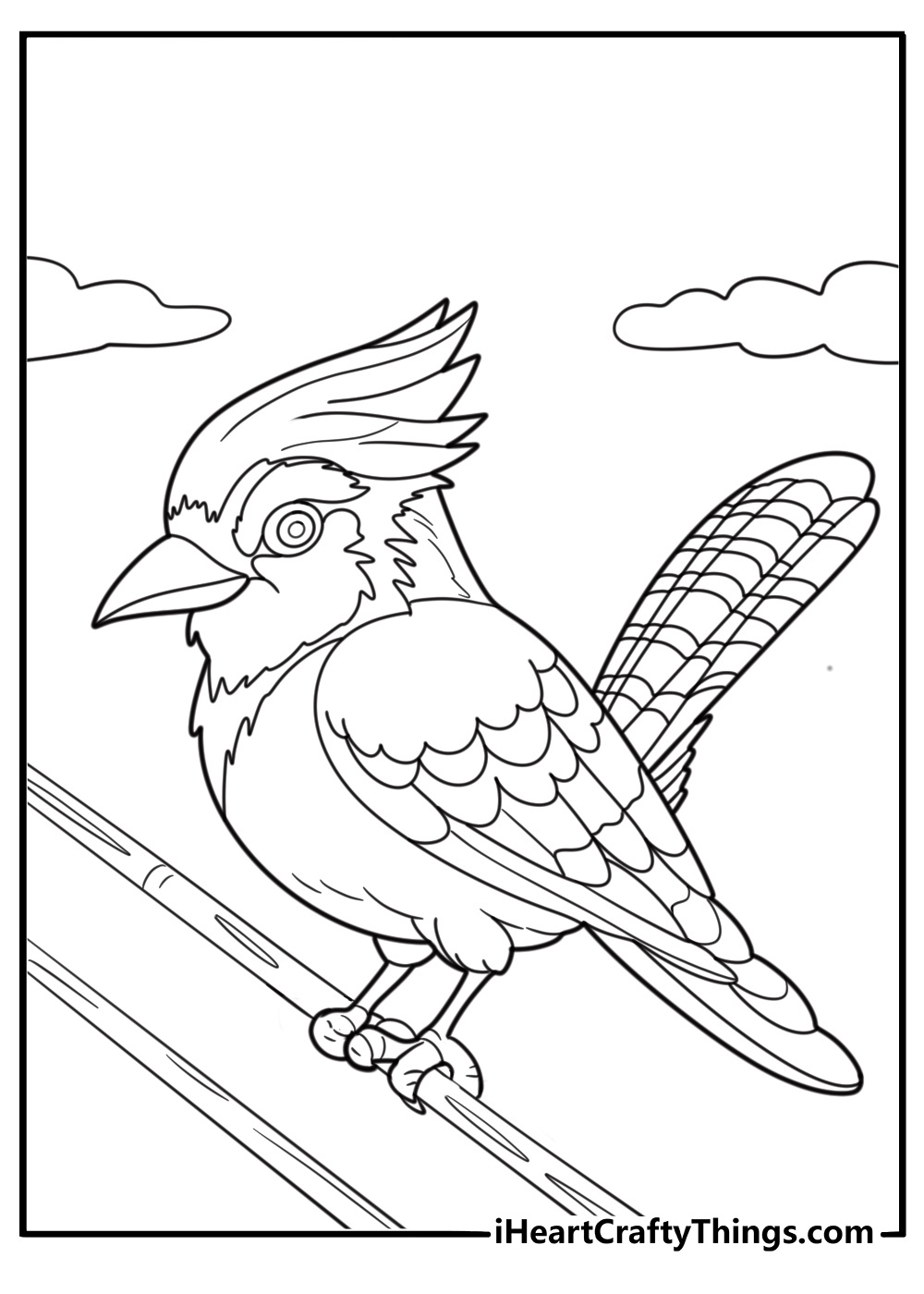 Blue Jay Coloring Pages (20 Free PDF Printables For Kids)
