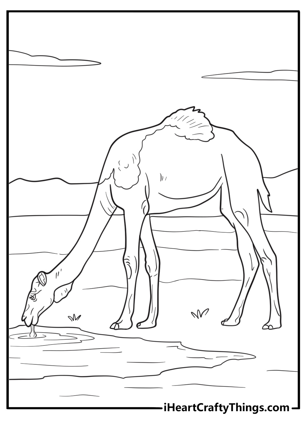 25 Free Camel Coloring Pages For Kids