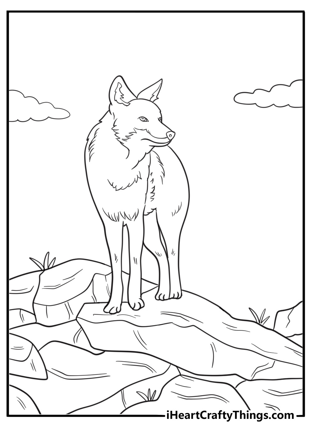 30 Free Coyote Coloring Pages For Kids