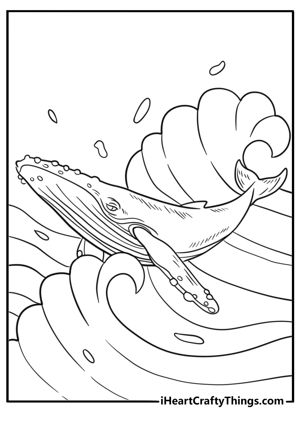 25 Free Whale Coloring Pages For Kids