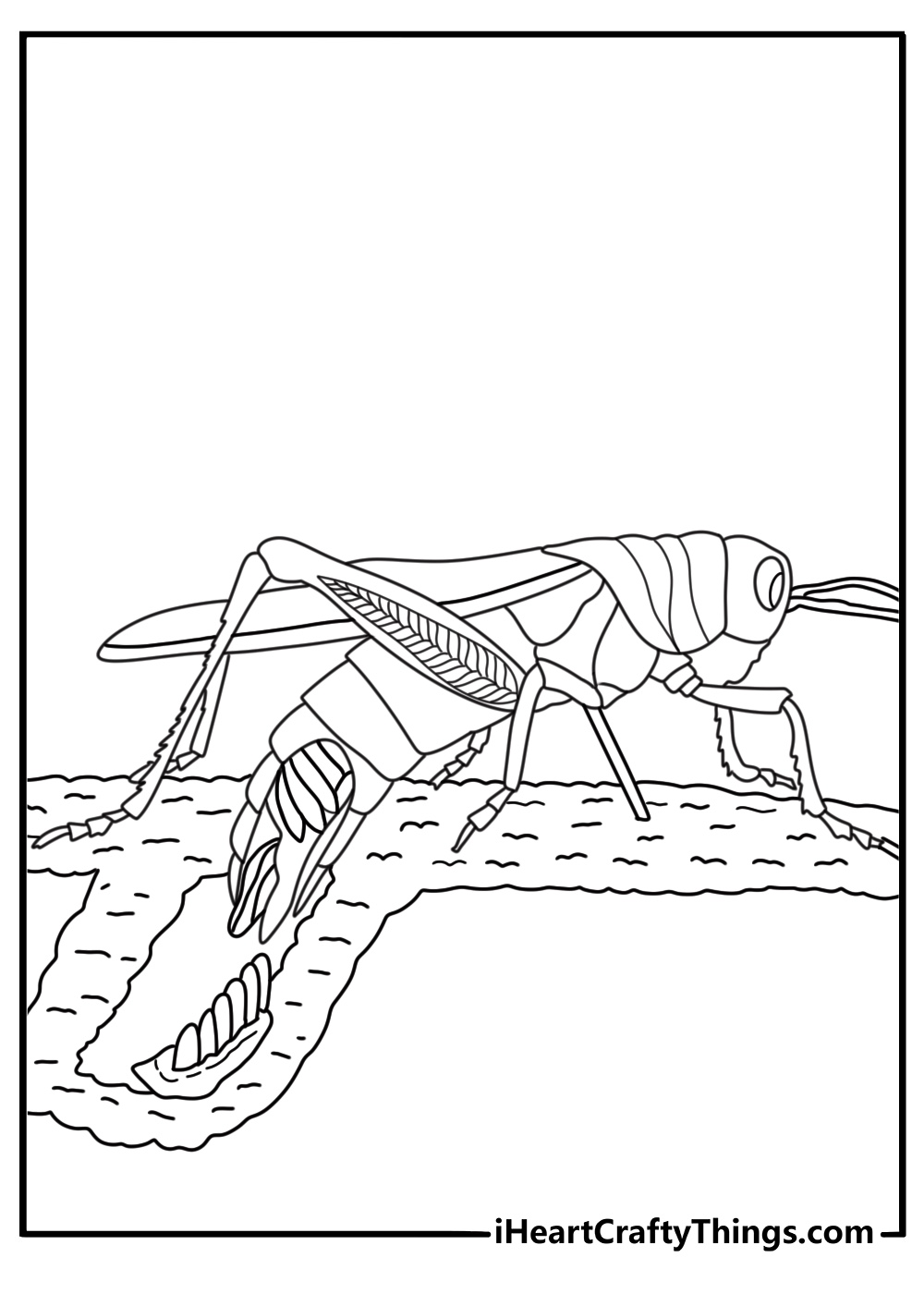 30 Free Grasshopper Coloring Pages For Kids