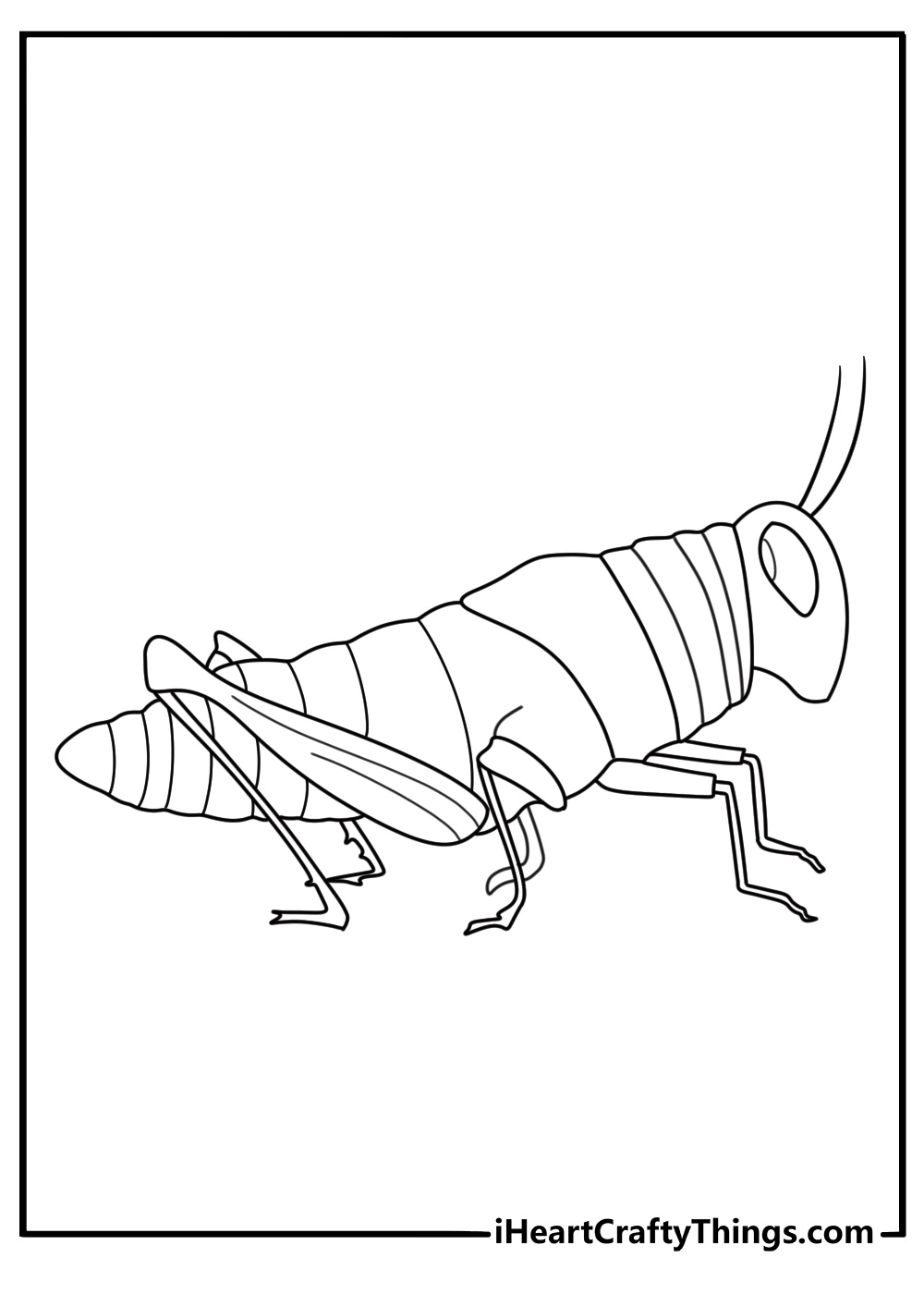 30 Free Grasshopper Coloring Pages For Kids