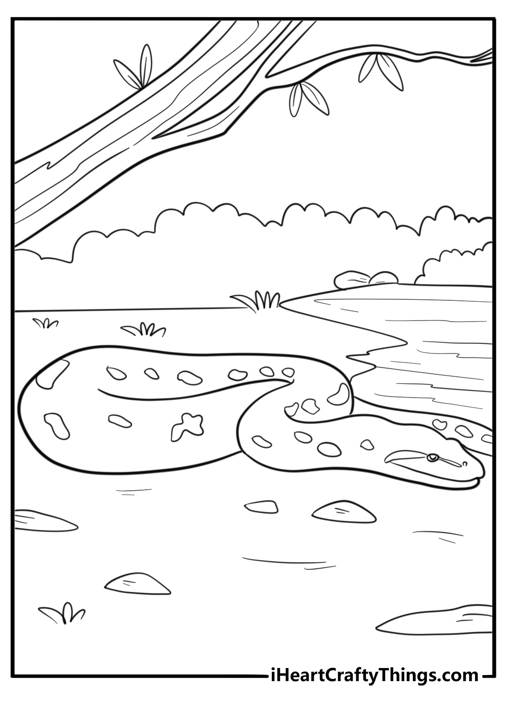 20 Free Anaconda Coloring Pages For Kids