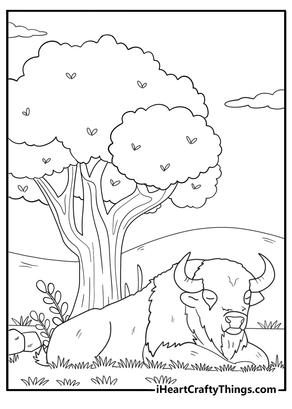 30 Free Bison Coloring Pages For Kids