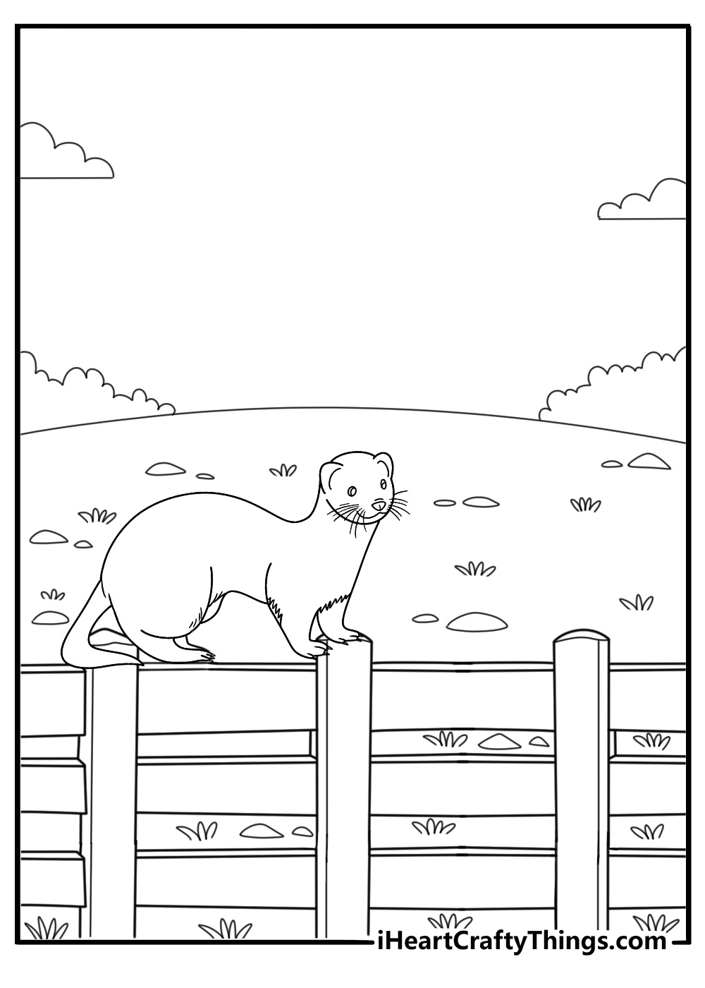 26 Free Ferret Coloring Pages For Kids