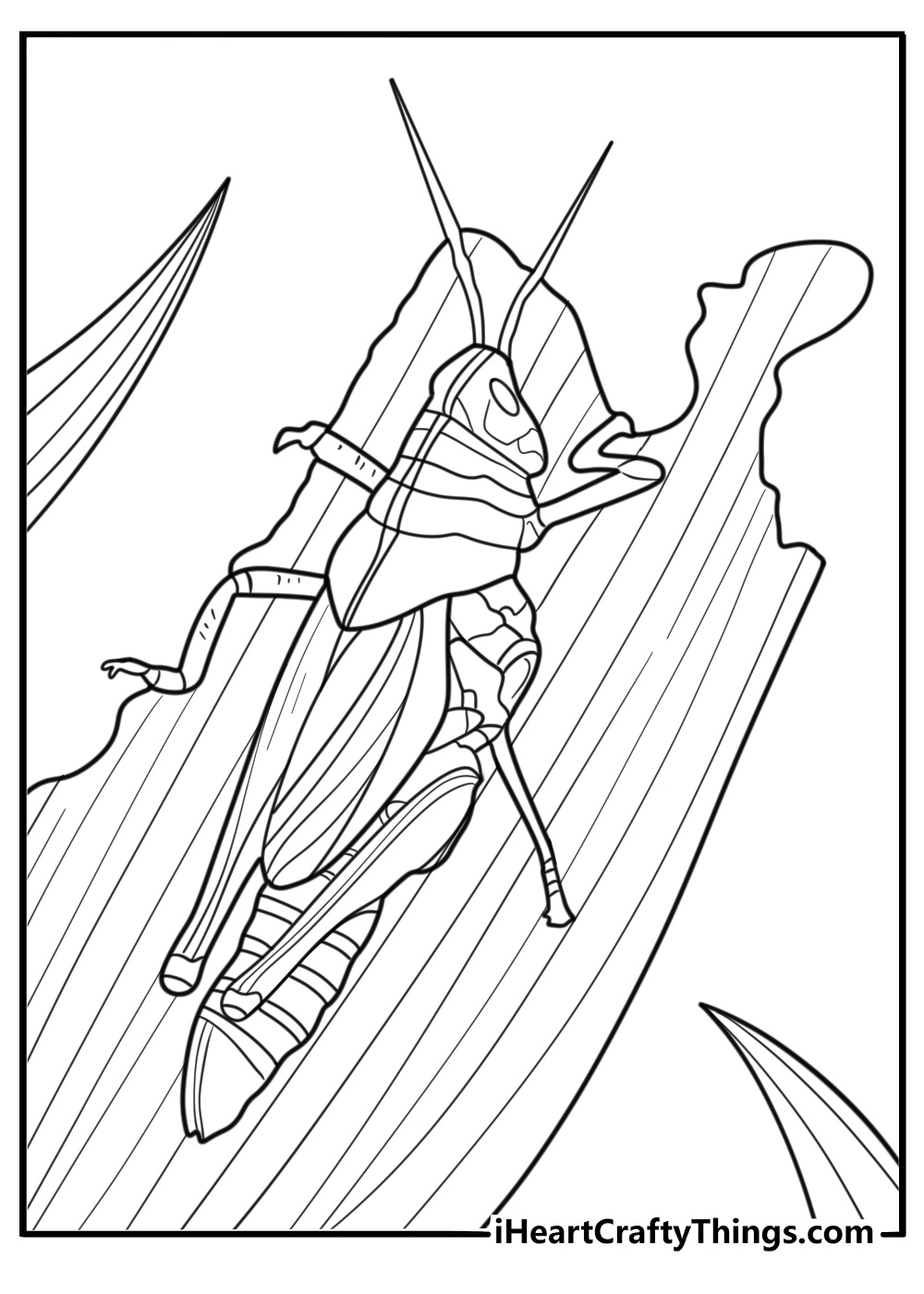 30 Free Grasshopper Coloring Pages For Kids