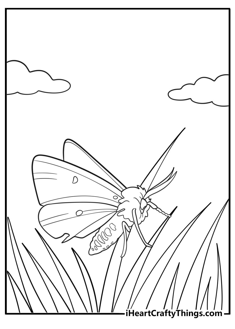 20 Free Moth Coloring Pages For Kids