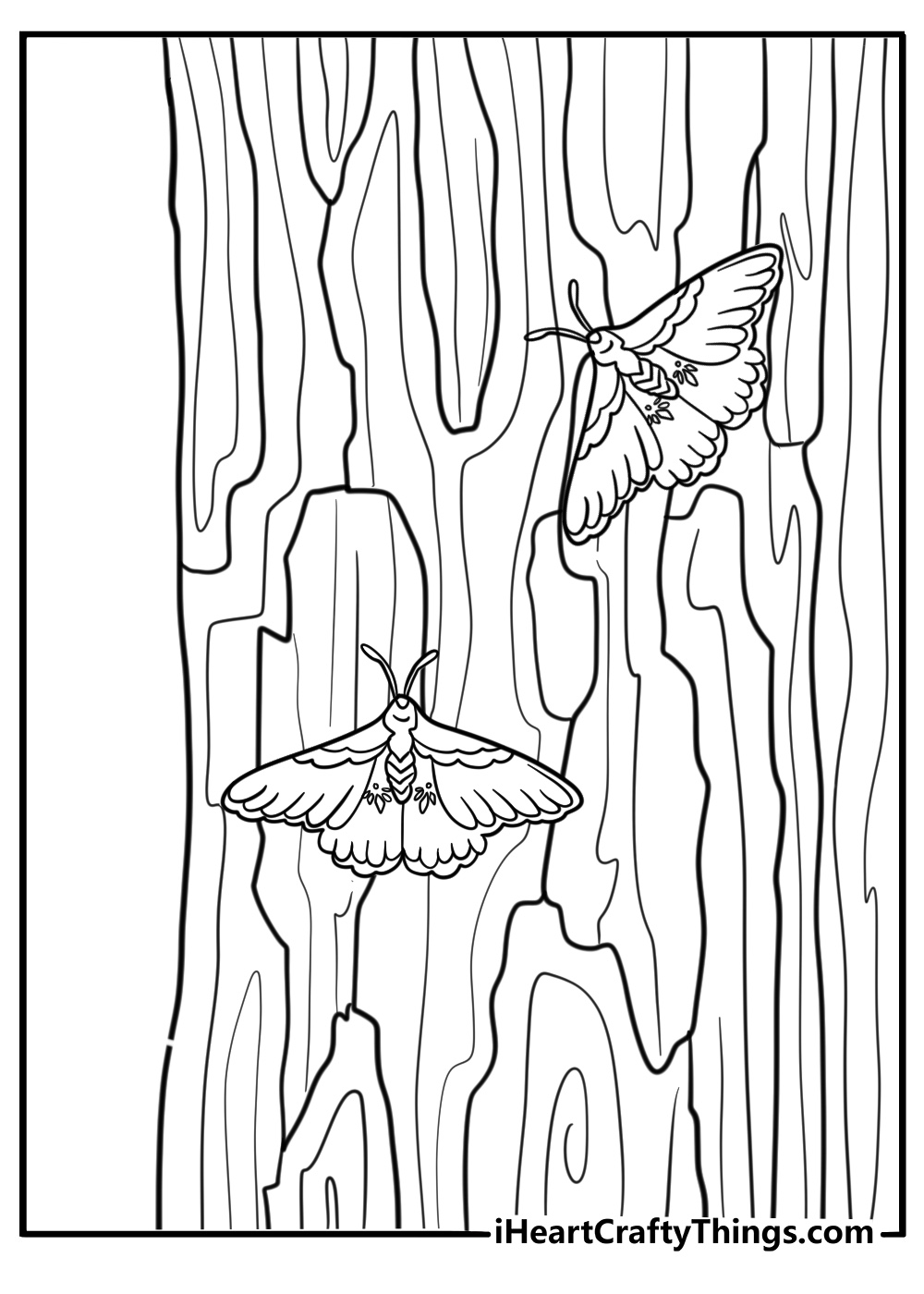 20 Free Moth Coloring Pages For Kids