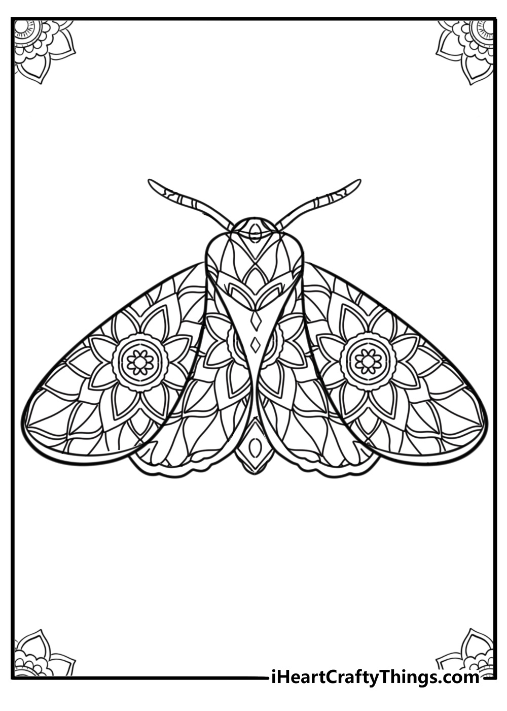 20 Free Moth Coloring Pages For Kids