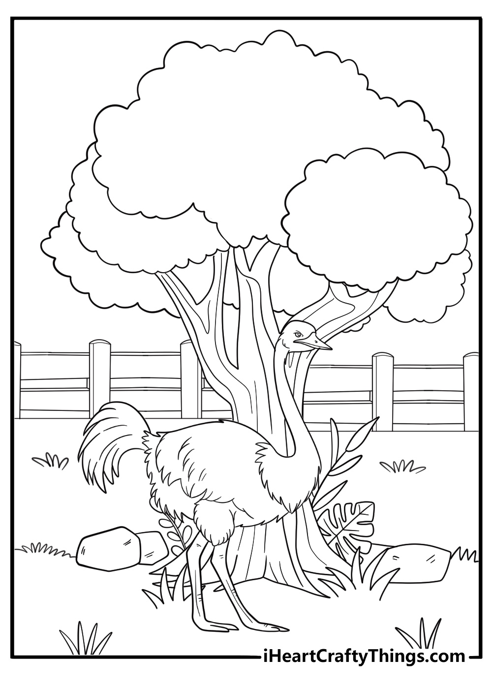 20+ Ostrich Coloring Pages: Printable PDFs For Free