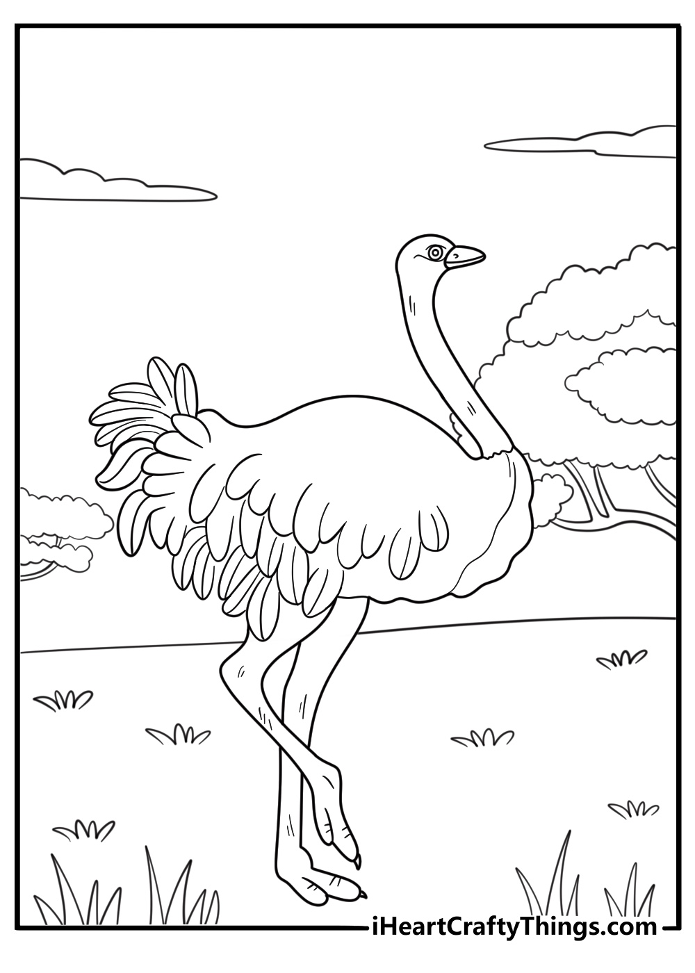 20+ Ostrich Coloring Pages: Printable PDFs For Free