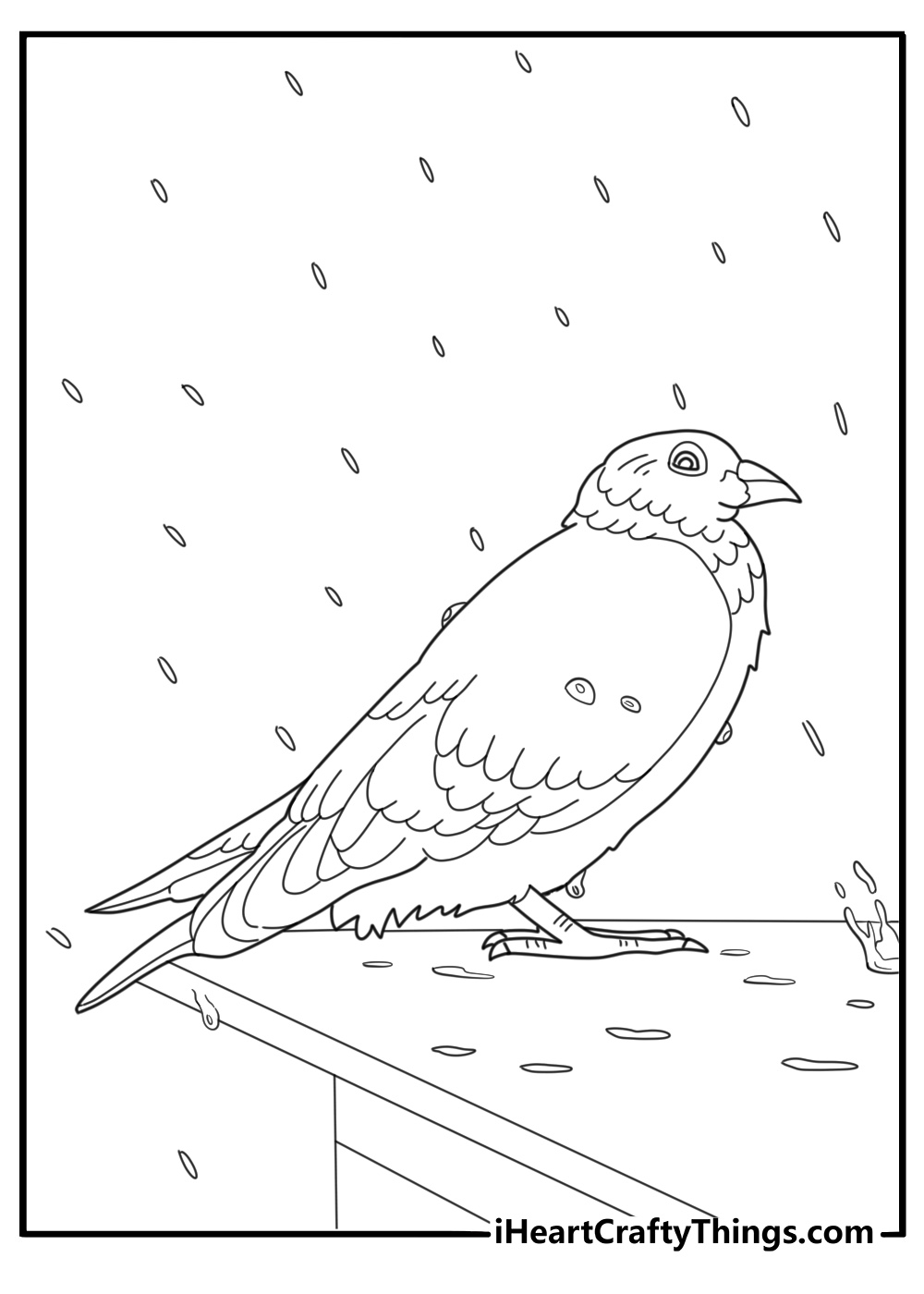 20 Free Pigeon Coloring Pages For Kids