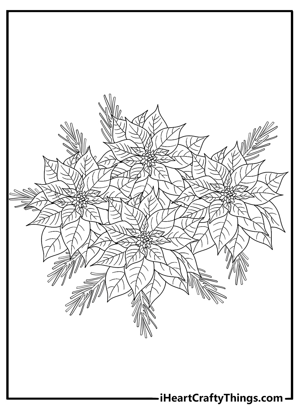 20 Free Poinsettia Coloring Pages For Kids