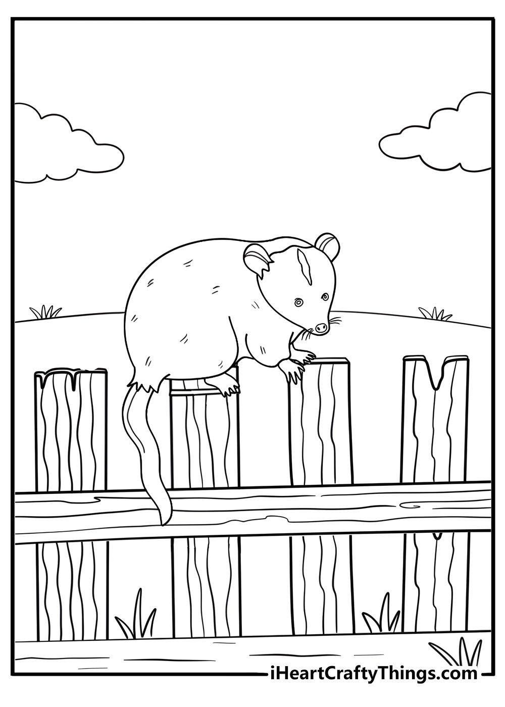 20+ Opossum Coloring Pages (Printable PDFs For Free)