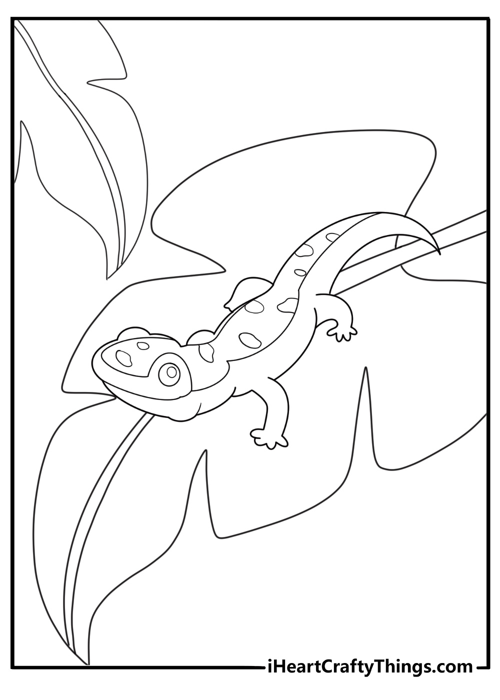 20 Free Salamander Coloring Pages For Kids